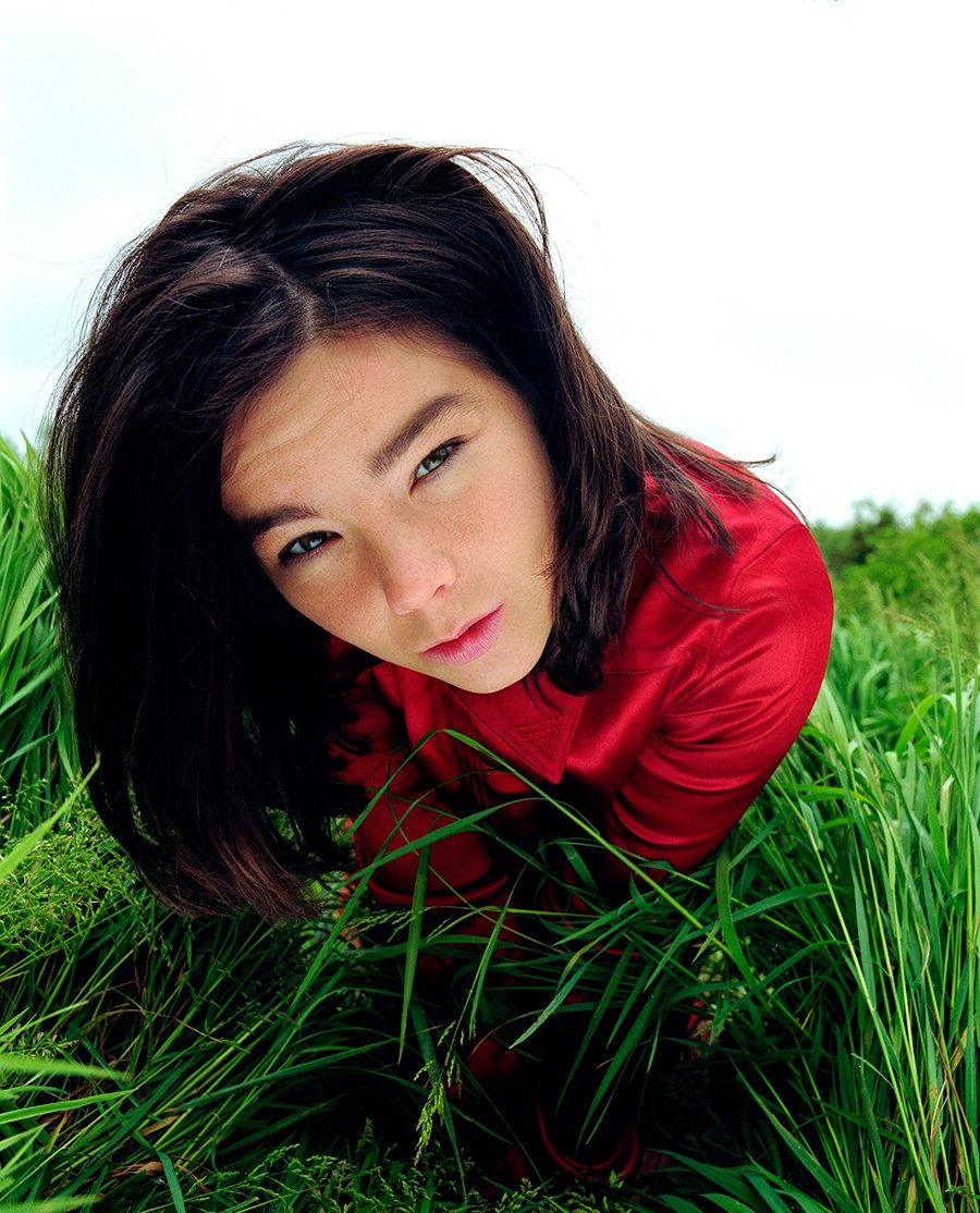 Björk in Nature, 1994 | House of Photography