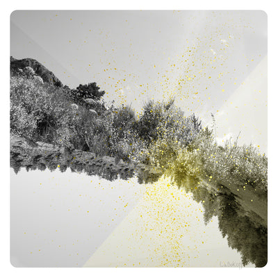 Fabienne Rivory | House of Photography